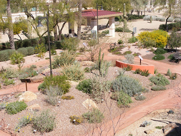 Xeriscape Landscape and Irrigation Efficiency - Friends of the Verde River