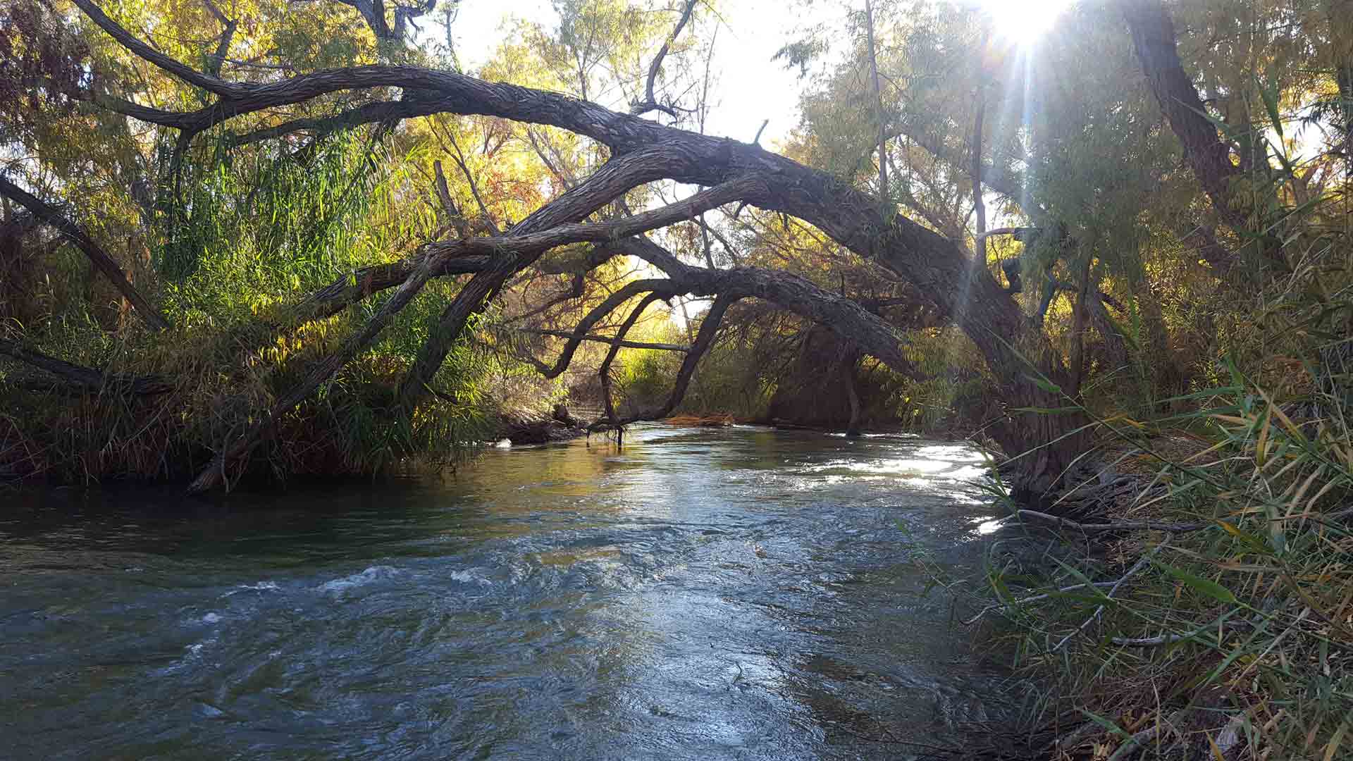 Annual Impact Reports - Friends of the Verde River