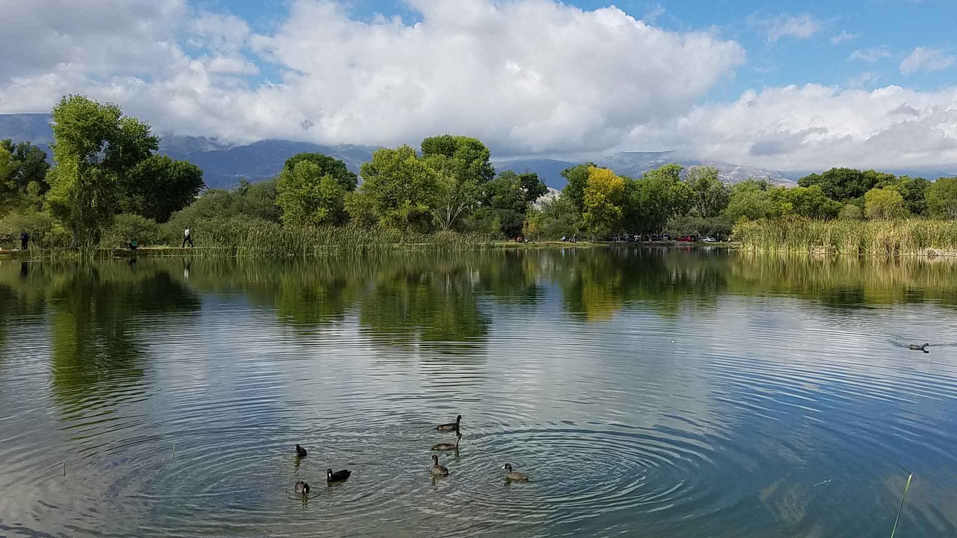More About Friends - Friends of the Verde River