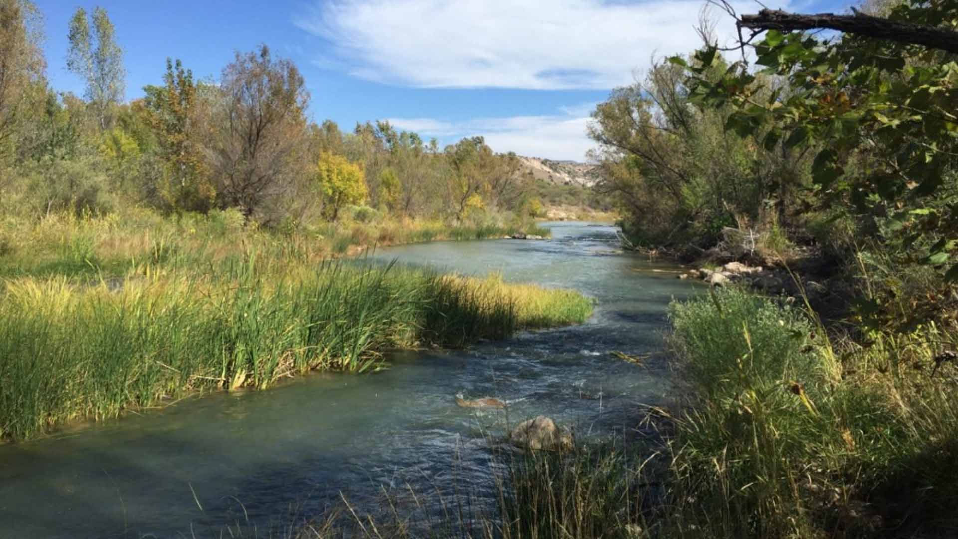 Businesses Helping the River - Friends of the Verde River