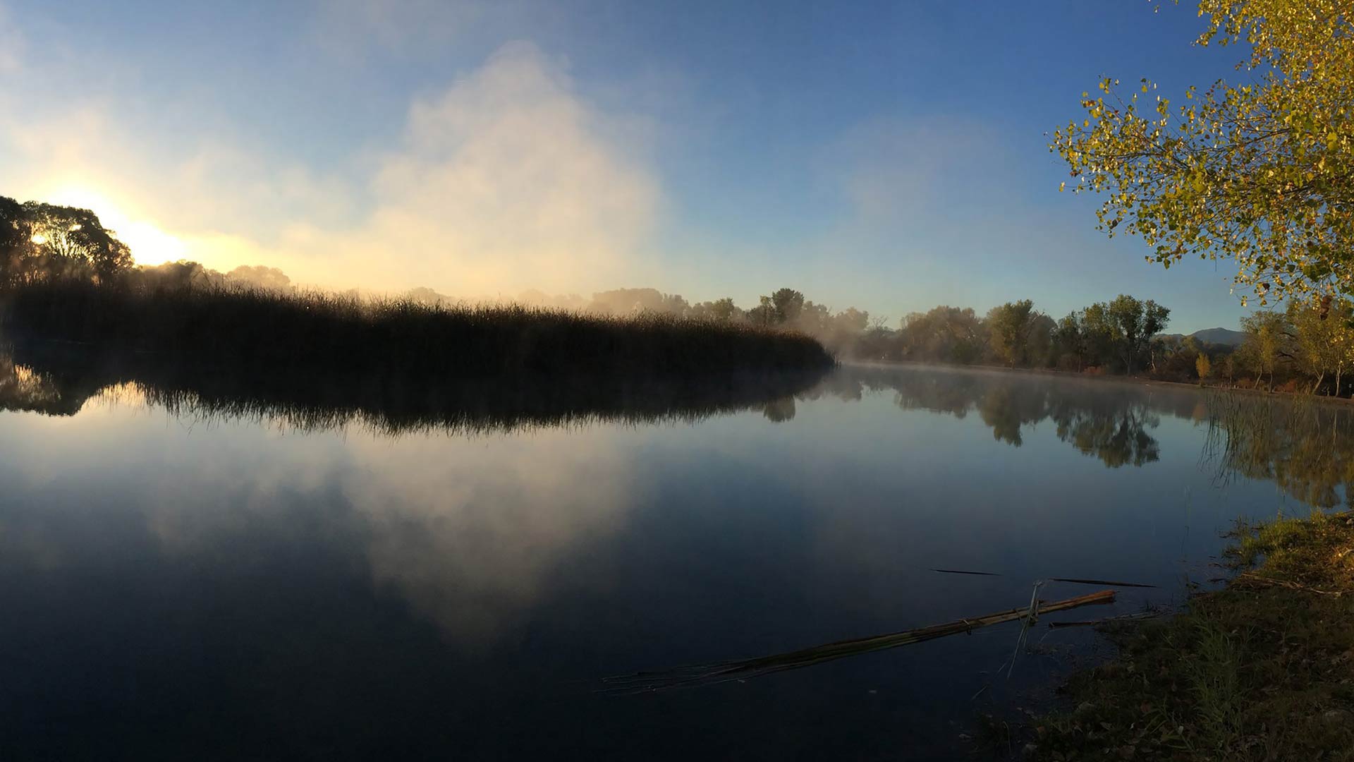 Businesses - Friends of the Verde River