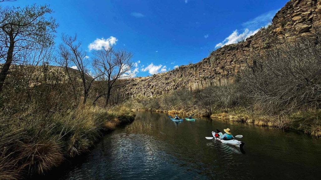 Verde Valley Birding And Nature Festival 2024 Friends Of The Verde River