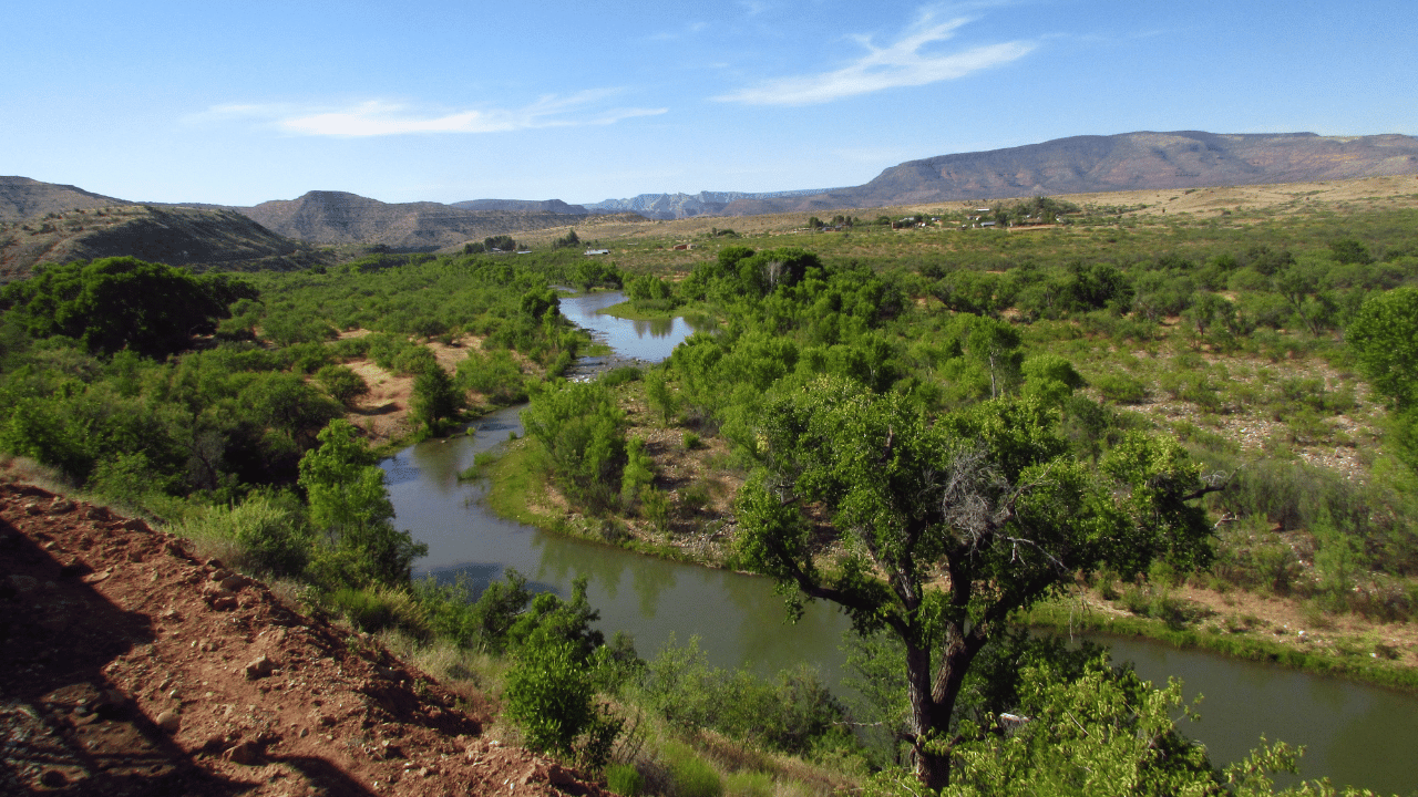 Water, Life, and Sustainability: The Vital Role of River Friendly ...