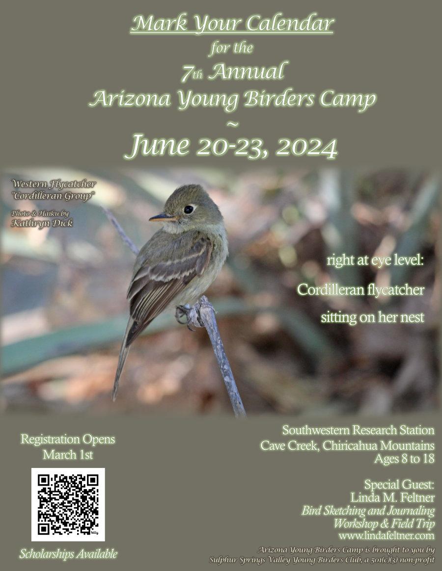 Apply for the 2024 Young Birders Camp - Friends of the Verde River